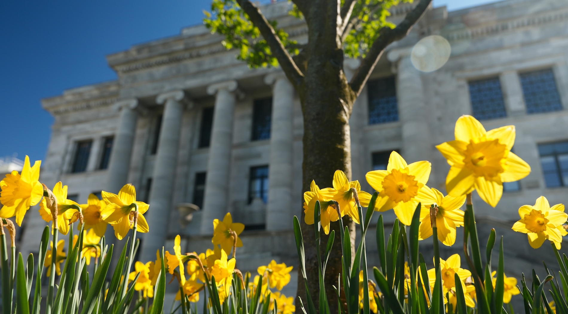 Harvard Medical School Professional, Corporate, and Continuing ...