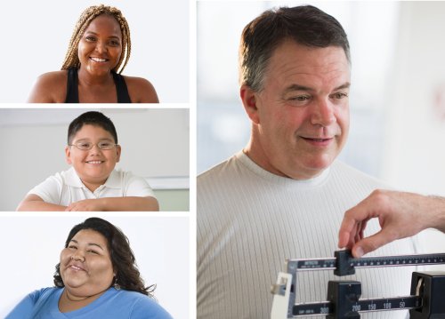 Obesity Medicine Board Review | Harvard Medical School Professional ...