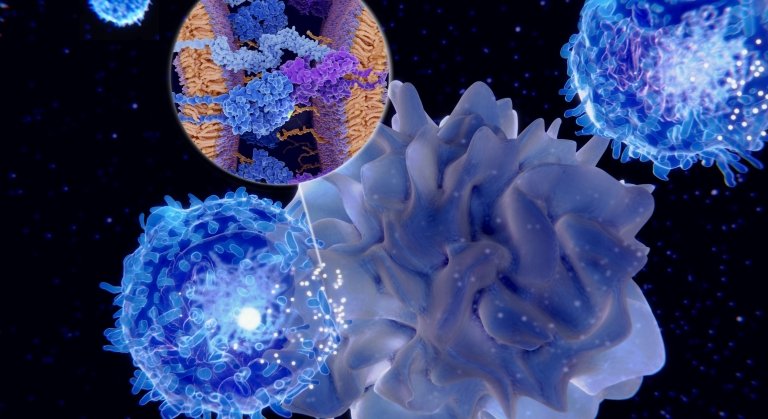 HMX Online Immunology Courses | Harvard Medical School Professional ...