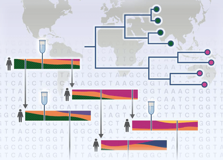 Foundations II: Technical Introduction to Pathogen Genomic Epidemiology ...